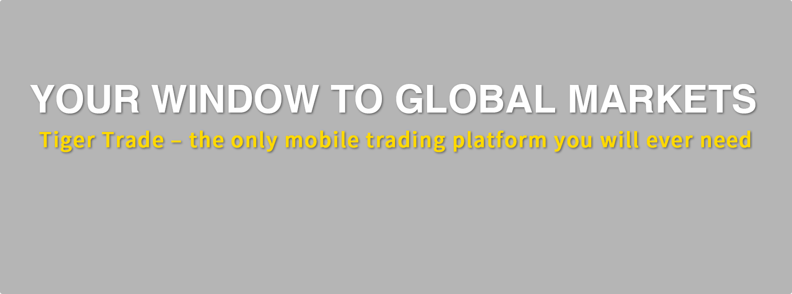 Tiger Brokers (Singapore) Pte Ltd