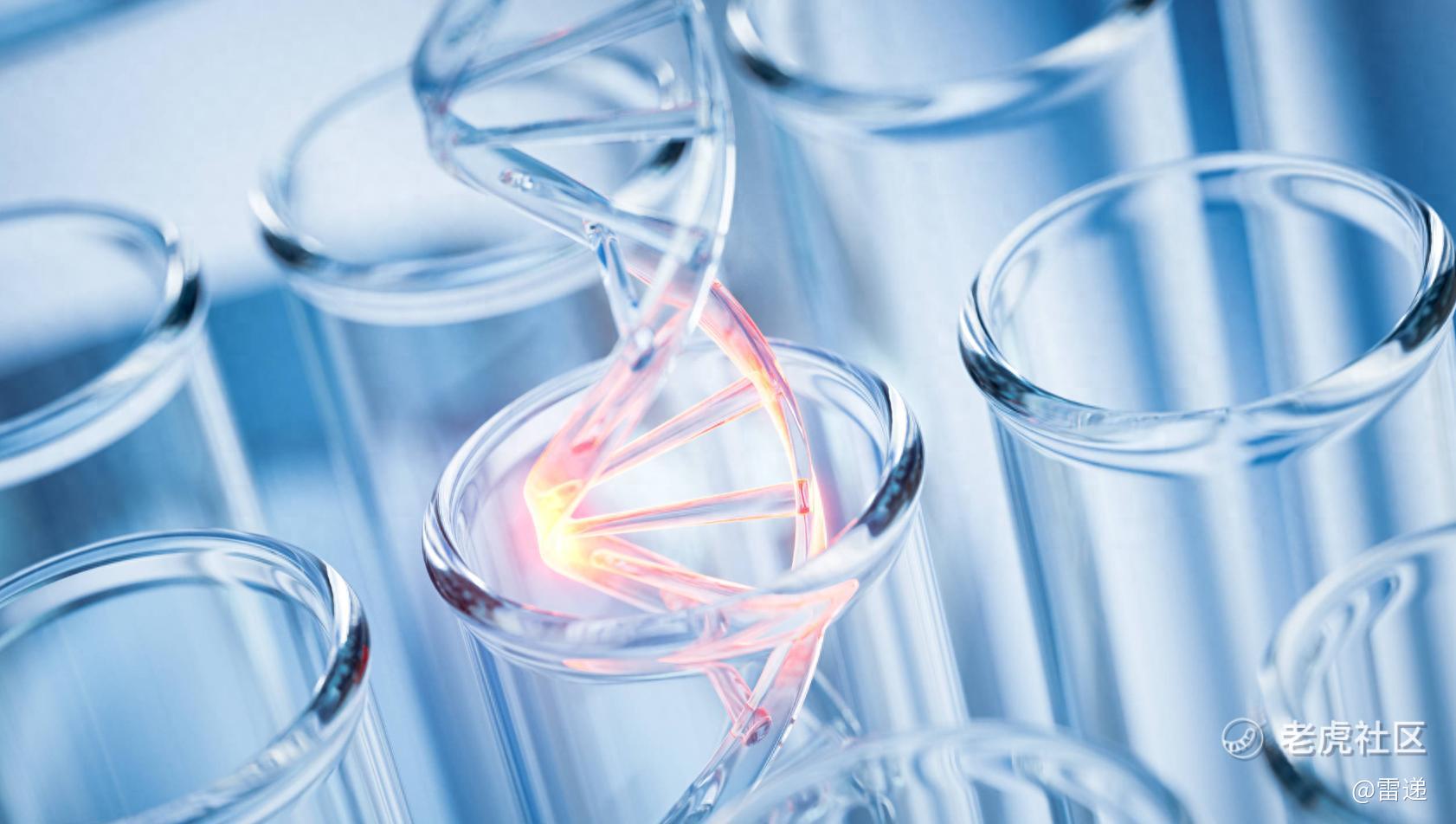 维升药业半年报：现金储备8亿，核心产品隆培生长激素预计Q4获批_老虎社区_美港股上老虎 - 老虎社区